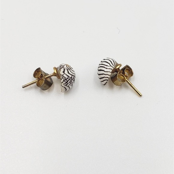Vintage | Jewelry | Vintage Tiny Zebra Snail Shell Earrings Black White ...